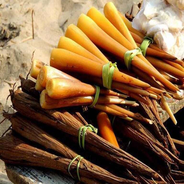 Online Store to Buy Vegetarian, Non Veg Pickles, Sweets, Snacks ...